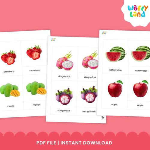 Fruit 3 Part Cards | Montessori Real Photo Vocabulary Flashcards | ESL ...