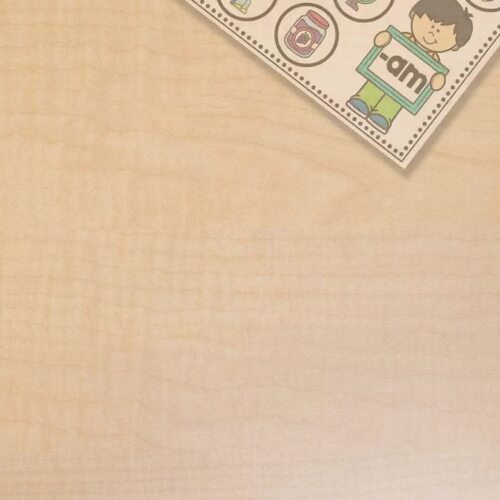 CVC Short Vowel Word Families Printable Phonics Review Games Bundle