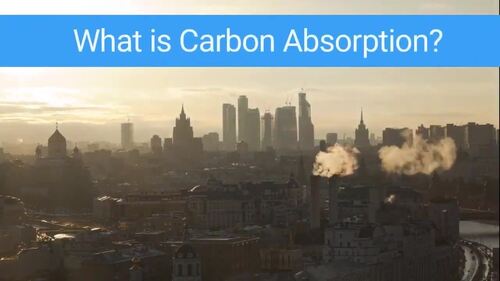 What is Carbon Absorption? | Boom™ Learning Cards | Environment & Earth ...