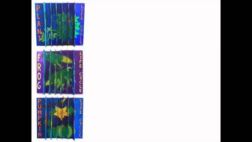 Life Cycle 3D Agamograph Collaboration Poster BUNDLE by Art with Jenny K