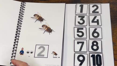 Insect Counting Self Correcting Adapted Book Real Pictures / Bug ...