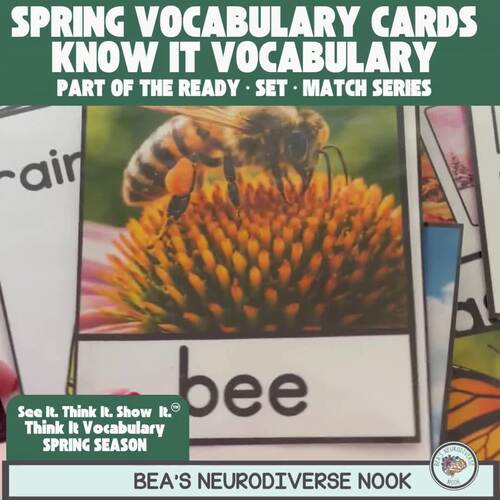 Spring Vocabulary Cards | Picture Vocabulary for Autism, Special ...