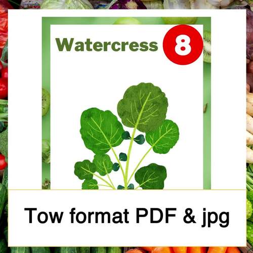 vegetable garden-summer flashcards-Printable-Vocabulary-back to school