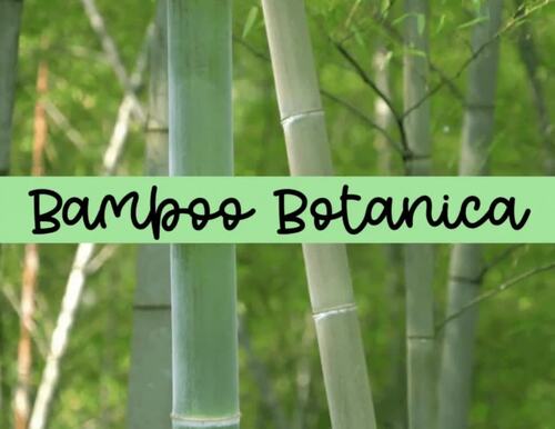 Green-Themed Alpha-Numeric Bulletin Board Bundle: 6 Sets! | TPT