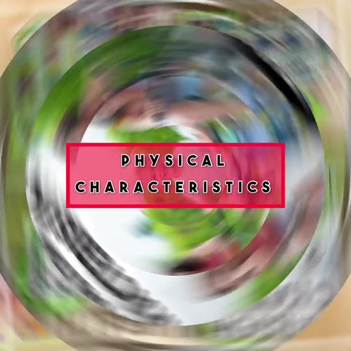 Alberta Health Grade 1 | Physical Characteristics by Coreas Creations