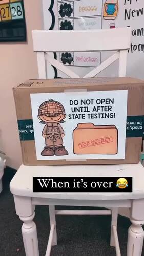 EDITABLE | After State Testing Activities | End of Year Game | TPT