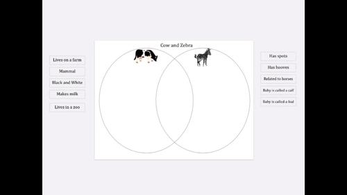 Compare & Contrast Venn Diagram Activity | Print & Digital by Harre SLP