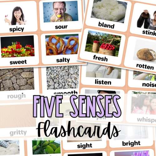 Five Senses Real Photo Vocabulary Flashcards for ESL Speech by The 4x6 ...