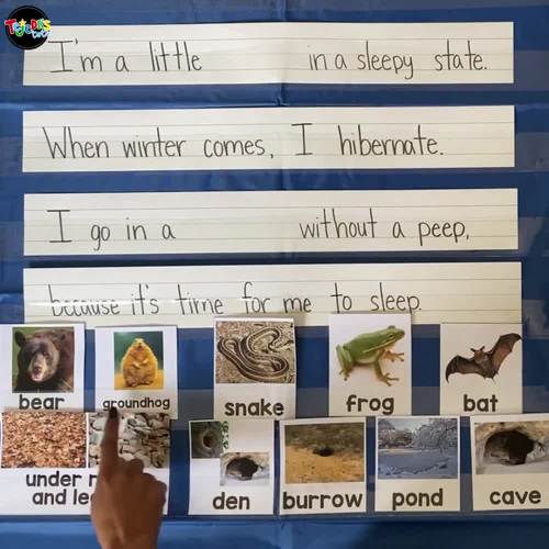 Winter Animals Hibernation Activities Animals in Winter Animal ...
