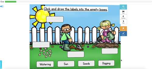 Summer Boom Cards | Labelling Activity by Teaching Autism | TPT