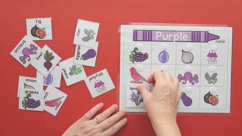 Purple Object Matching Activity, Match and Label, Adjective-Noun Phrases