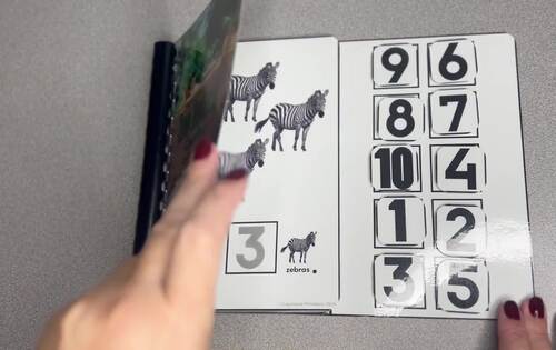Zoo Counting Self Correcting Adapted Book / Zoo Numbers Adaptive