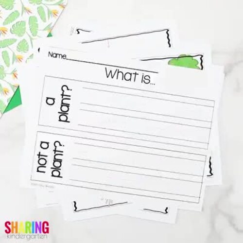 All About Plants Unit & Plants Plant Parts of a Plant Worksheets Activities