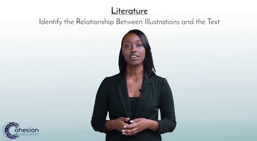 Describe the Relationship Between Illustrations and the Story | TPT