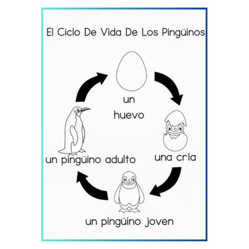 Spanish Worksheets - Vocabulario sobre Los Pingüinos (Penguin Vocabulary)