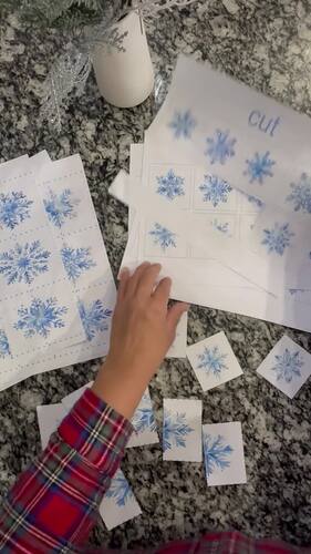 winter snow fake poster matching sorting homeschool teacher classroom ...