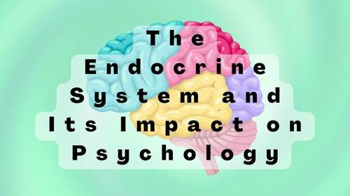 The Endocrine System and Its Impact on Psychology | Reading, Questions ...