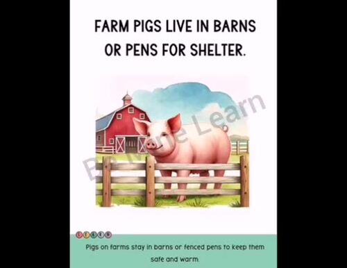 All About Pigs | National Pig Day | Flashcards | Reading for Grades 1-2 ...
