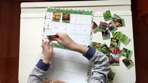 Plants parts we eat. Montessori matching material by Teaching Arts