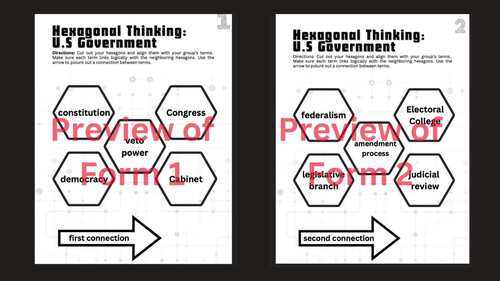 US Government Hexagonal Thinking Activity by The MiddleVerse | TPT