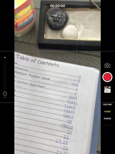 A Good Kind of Trouble by Lisa Moore Ramee Novel Study AVID Style