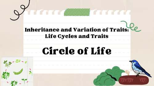 ELS Investigations: Circle of Life by Regan Weiss | TPT