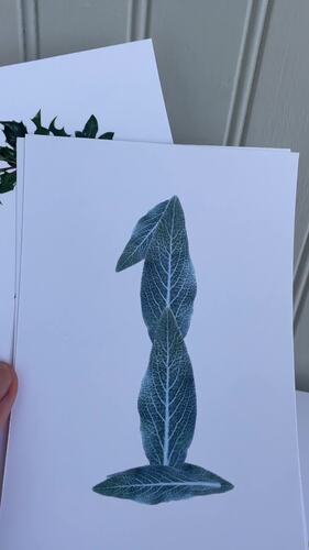 Nature numbers 0-10 or 0-20 Printable cards Waldorf inspired - Math in ...