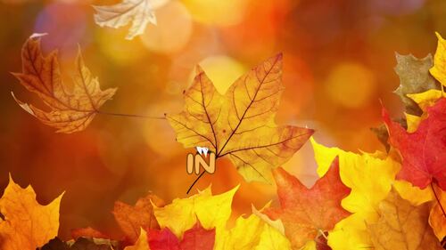 SEL Self Esteem Worksheet to Identifiy Positive Traits - Leaf and Gnome ...