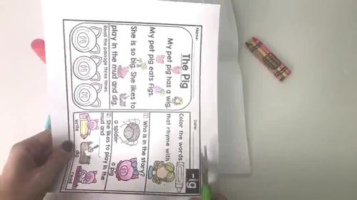 Science of Reading Phonics Reading Passages and Questions BUNDLE - Level 1