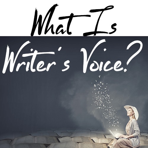 What is writer's voice? by Amanda Write Now | TPT