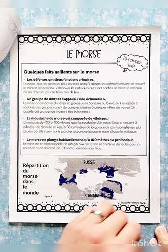 Arctic Animals Series: French Nonfiction Reading Comprehension - Le morse