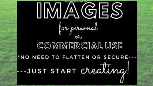 Bees, Bugs and Butterfly Gif Clipart for Commercial Use by Jo Jo's Jungle