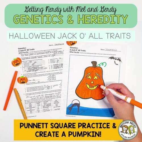 Genetics & Heredity Punnett Square Practice - Fall Halloween Pumpkin ...