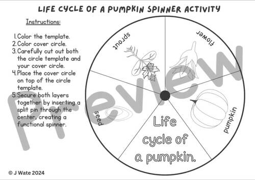 Pumpkin Plant Life Cycle Activity Pack | Fall Worksheets & Autumn Crafts