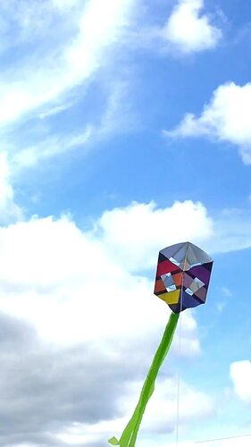 Box Kite - DIY Stem/Steam Project by WOW - World of Wonders | TPT