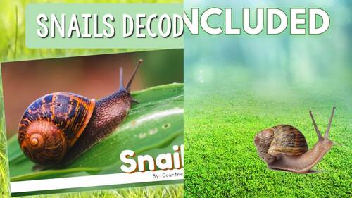 Snails Nonfiction Decodable Text with Vowel Teams ai ay Decodable Worksheet