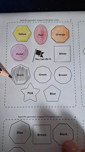 Coloring the geometric shapes -NCG002 by Pixel Craft | TPT
