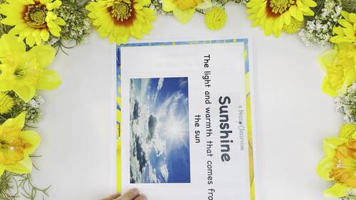 The Sun Space Diversified Nonfiction Reading Lesson Author’s Main ...