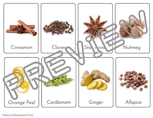 Montessori Holiday Spice Study // 3 Part Cards // Spice and Botany Cards