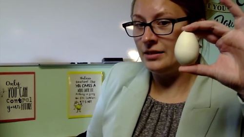 Egg Incubation and Hatching Unit- Over 2 Hours of Footage + Worksheets ...