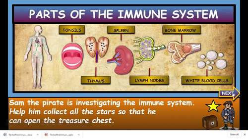 The Immune System Powerpoint + Worksheet. Middle School Biology. Lymph ...