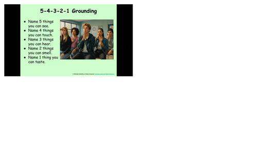 Pause & Reset; Mindfulness Activities for Emotional Regulation; Google ...