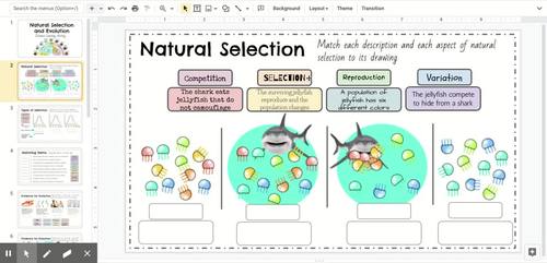 Biology Distance Learning Bundle by Biology with Brynn and Jack | TPT
