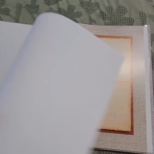 Dragon Dispatch™ Letter #1 – Follow-Along Library Mystery (ZIP: PDF + PNGs)