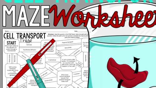 Cell Transport Maze Worksheet Activity in Digital and Print with ...