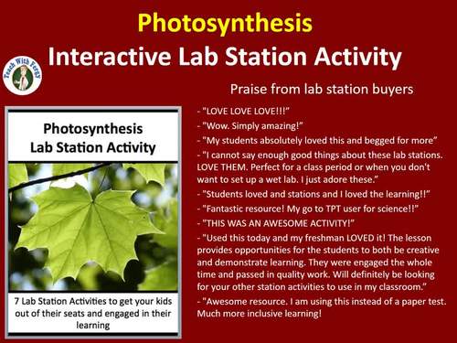 Photosynthesis - 7 Engaging Lab Stations by Teach With Fergy | TPT