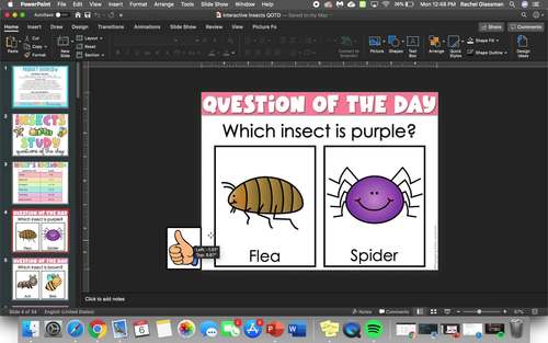 Insects Questions of the Day | Includes Interactive Option | TPT