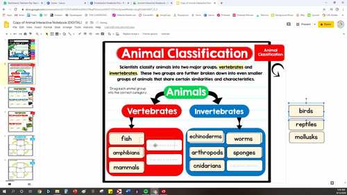 Animals Interactive Notebook - Classification, Life Cycles, Adaptations ...