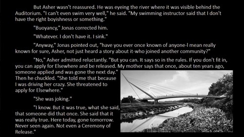 The Giver - Chapters 5+6 - Visual Reading by 1-to-1 Lit | TpT