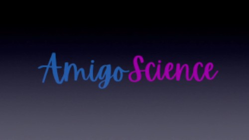 Phases of the Moon Differentiated Digital Resource | Moon Phases Review